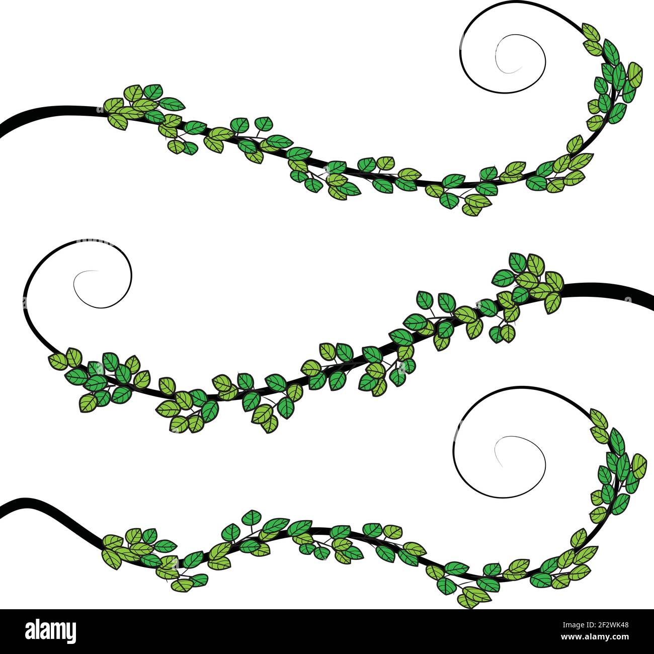 leaf design border frame card background Stock Vector Image & Art - Alamy