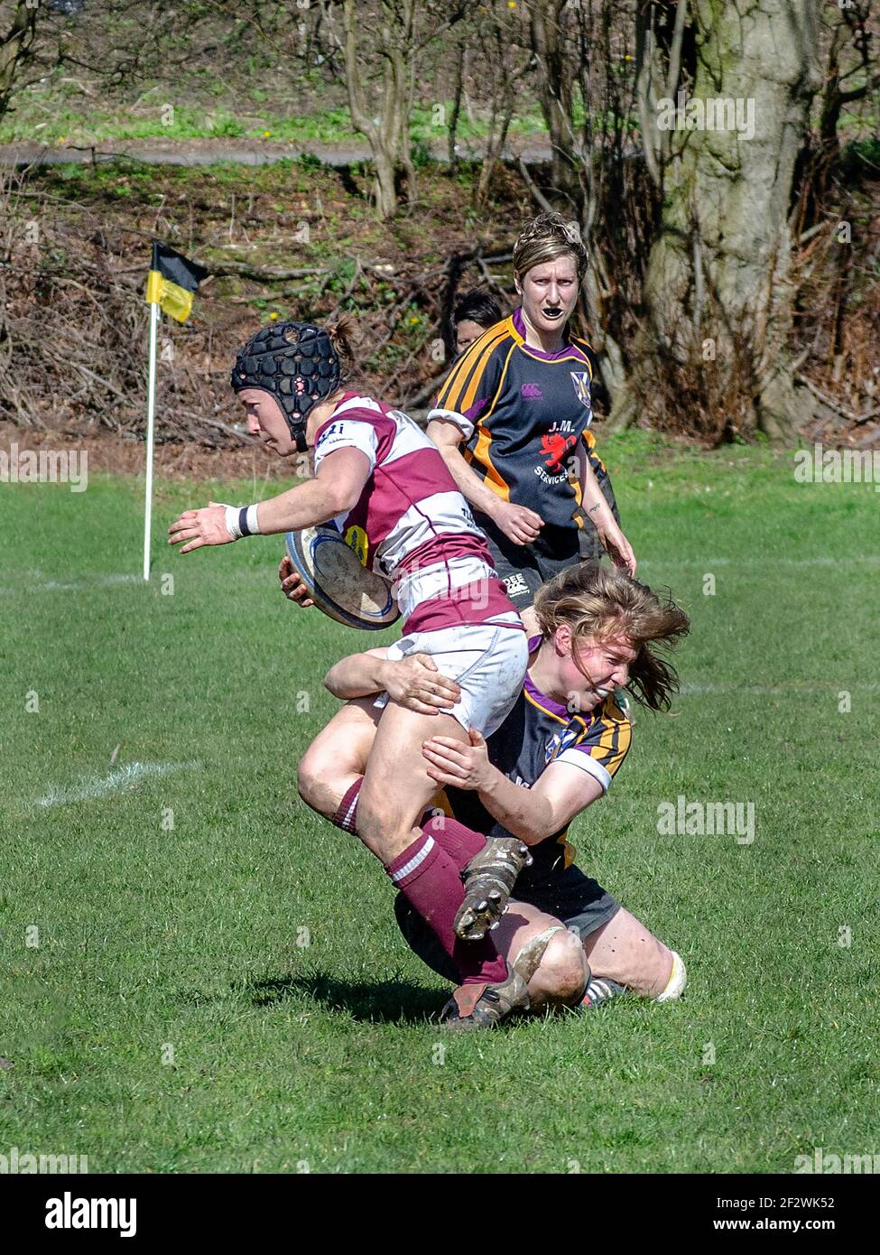 Ladies women rugby team players hi-res stock photography and images - Alamy