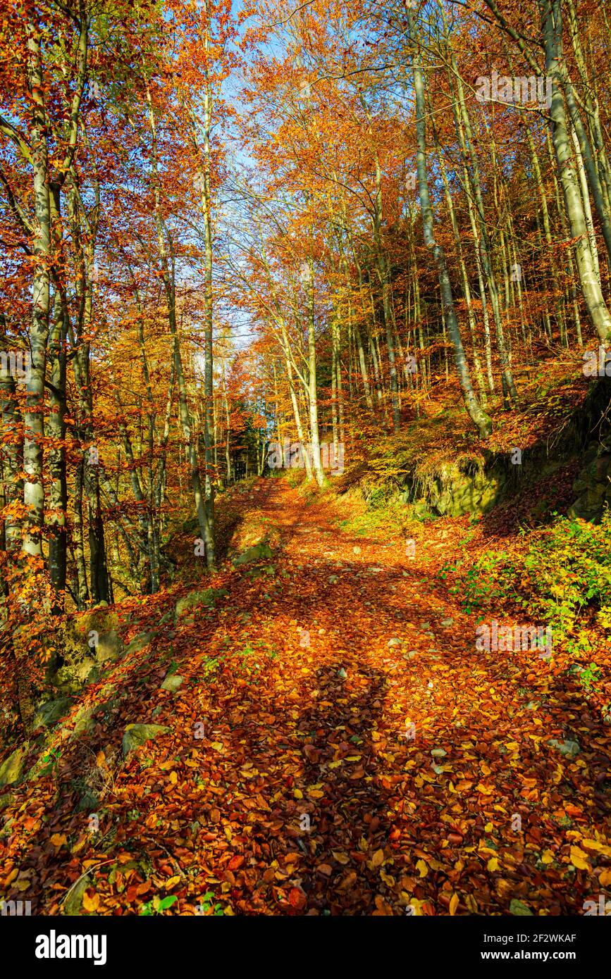 Toxic landscape hi-res stock photography and images - Alamy