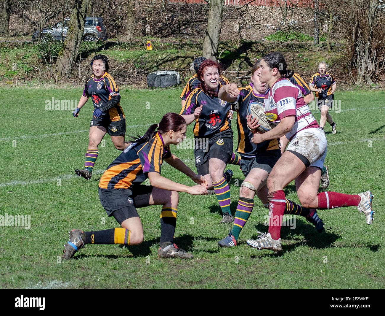 Muddy Rugby Team High Resolution Stock Photography and Images - Alamy