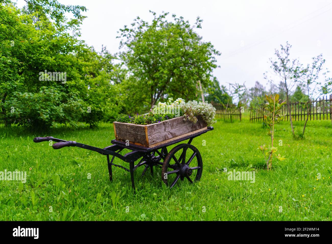 countryside house garden backyard in summer with old buildings and ...