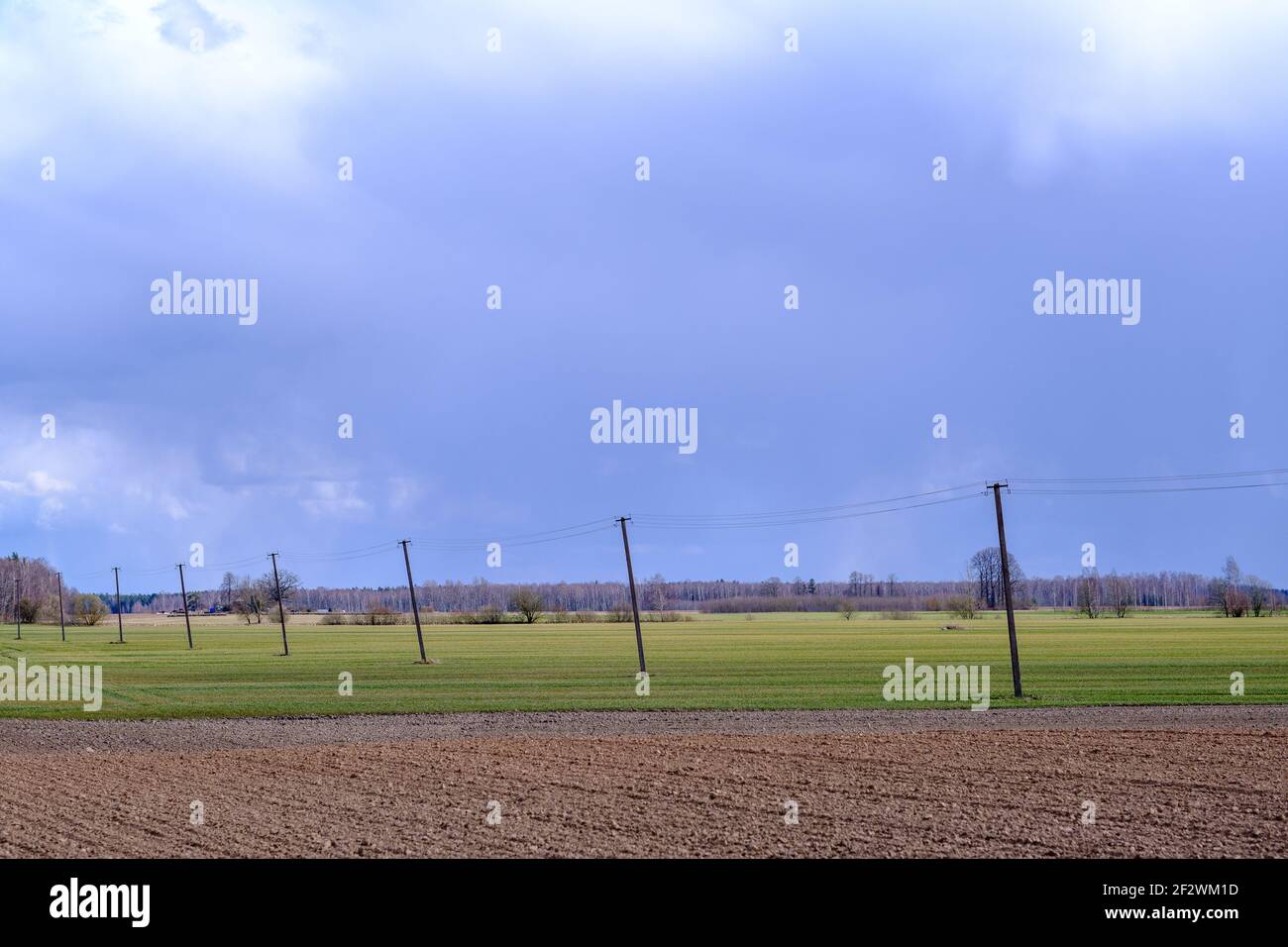 country landscape with green meadow and blue sky above. simple ...
