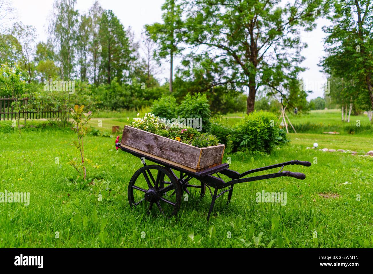 countryside house garden backyard in summer with old buildings and ...