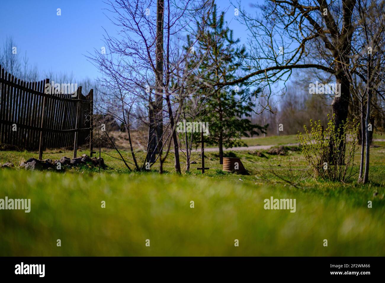 countryside house garden backyard in summer with old buildings and ...