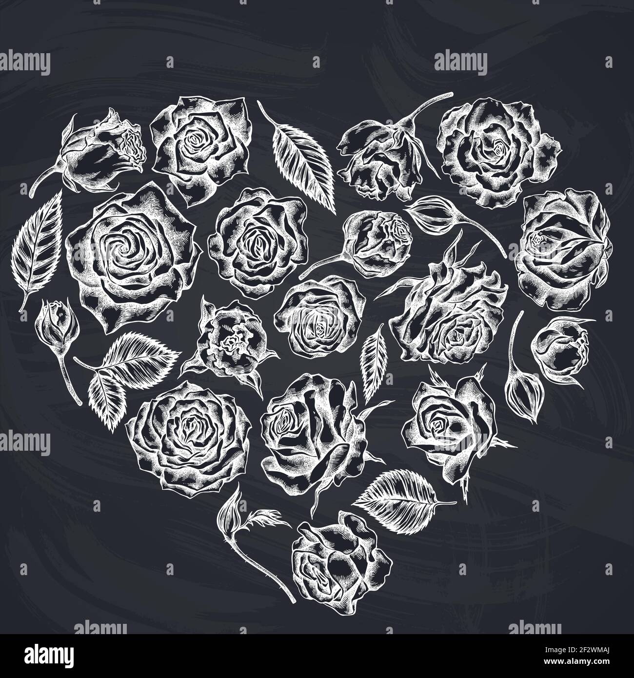 Rose chalk drawing Stock Vector Images - Alamy