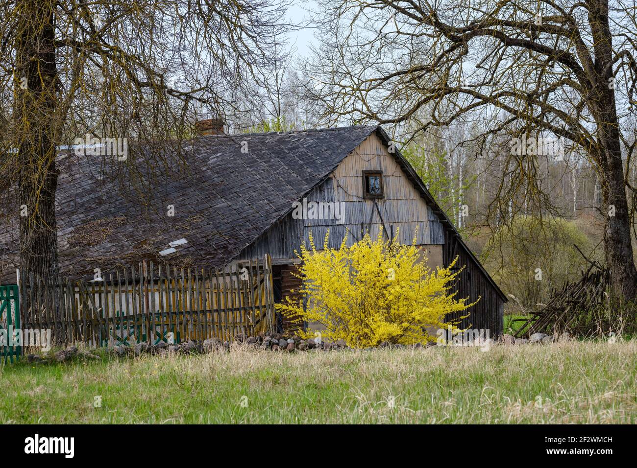countryside house garden backyard in summer with old buildings and ...