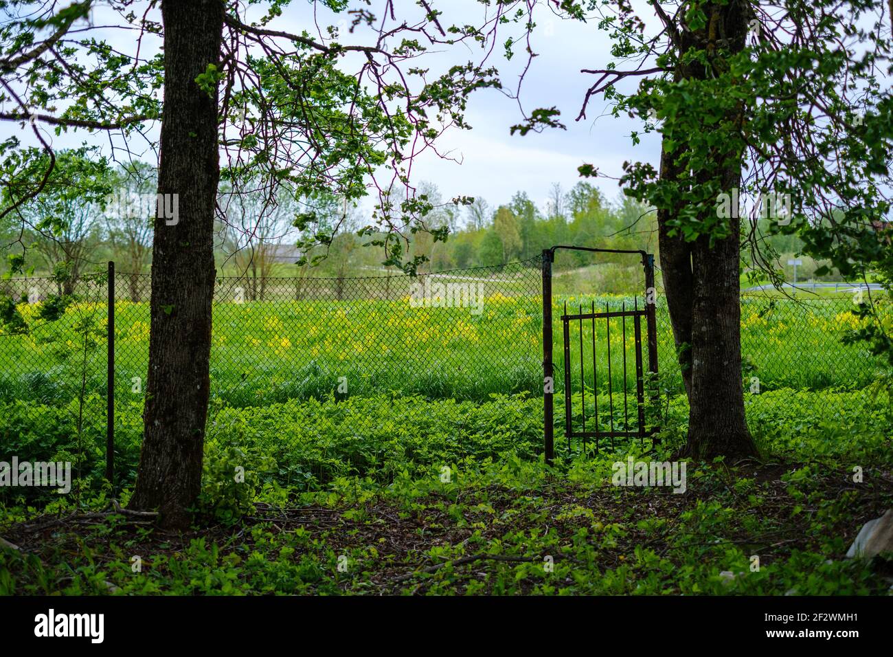 countryside house garden backyard in summer with old buildings and ...