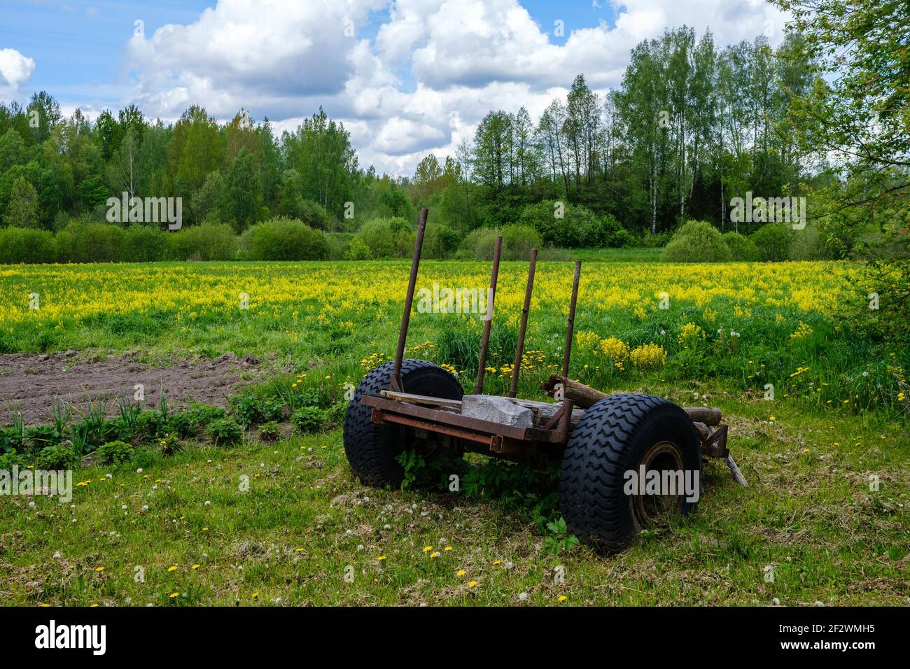 countryside house garden backyard in summer with old buildings and ...
