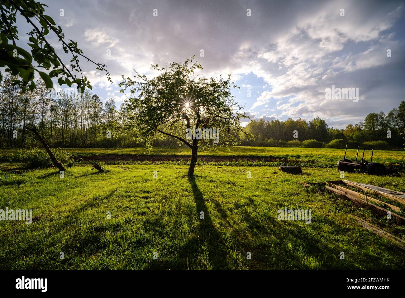 countryside house garden backyard in summer with old buildings and ...