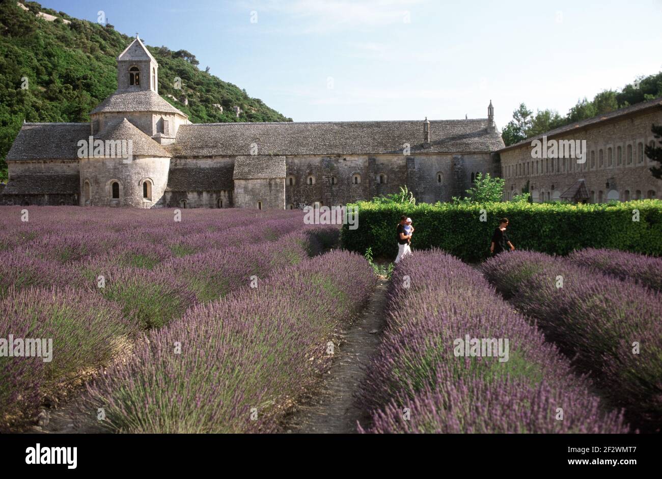 Abbaye Notre-Dame de Senanque Stock Photo - Alamy