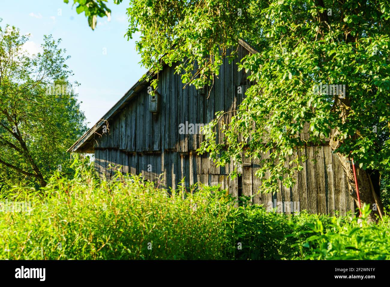 countryside house garden backyard in summer with old buildings and ...