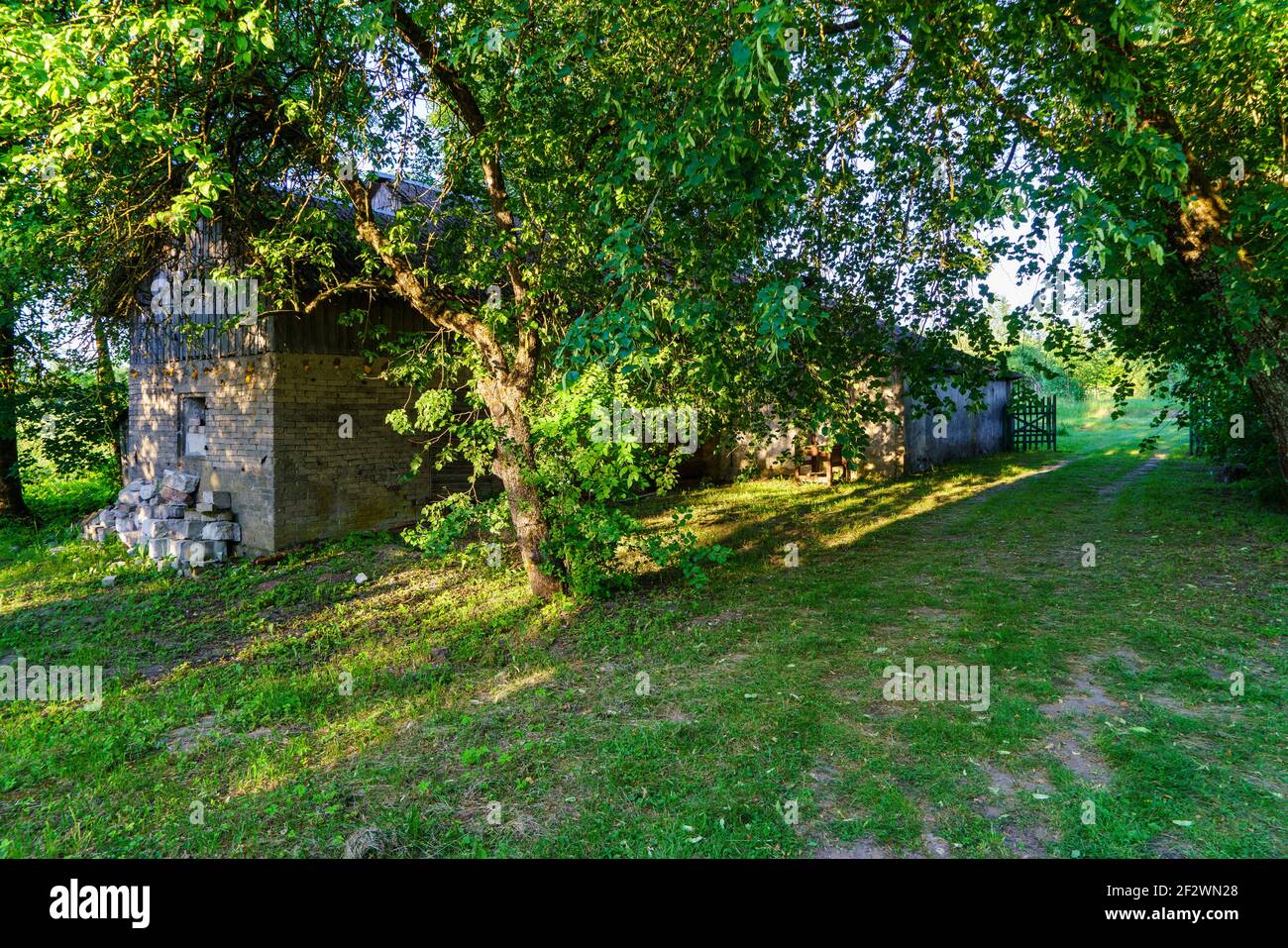 countryside house garden backyard in summer with old buildings and ...
