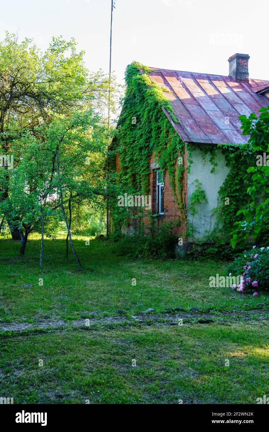 countryside house garden backyard in summer with old buildings and ...