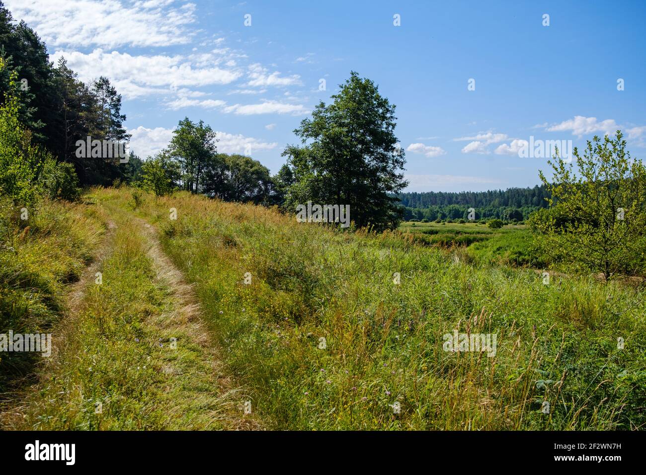 country landscape with green meadow and blue sky above. simple ...