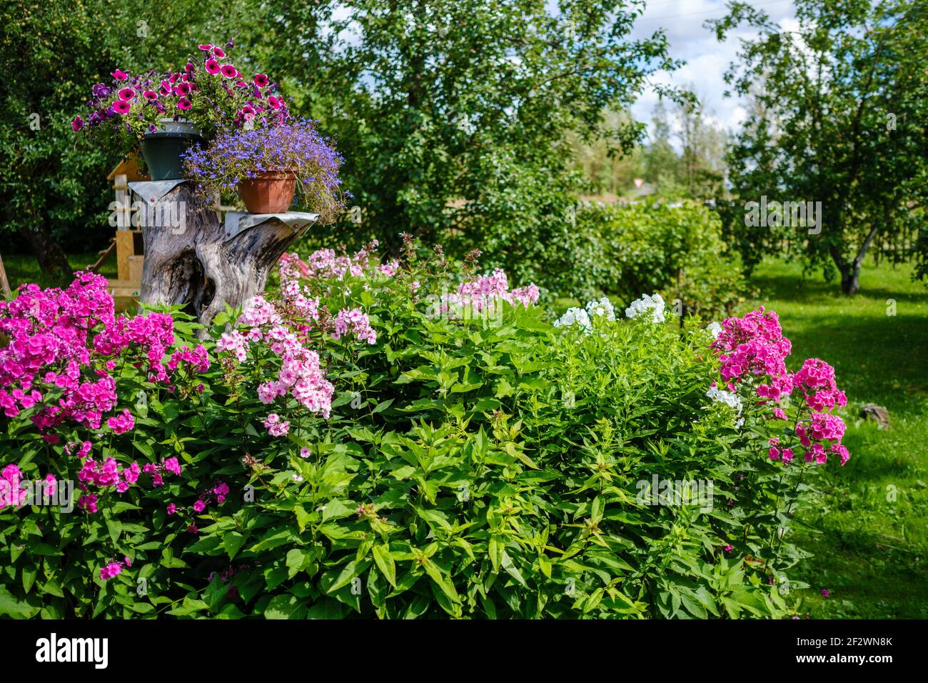 countryside house garden backyard in summer with old buildings and ...