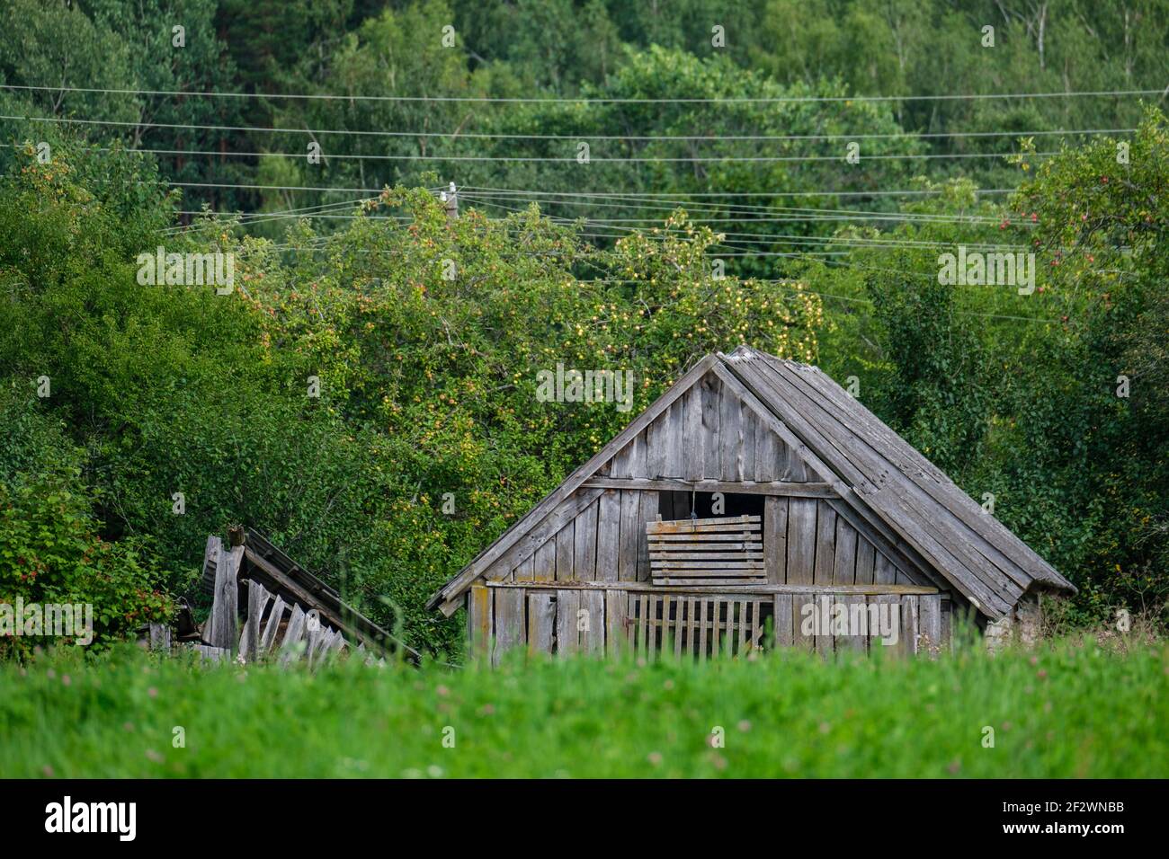 countryside house garden backyard in summer with old buildings and ...