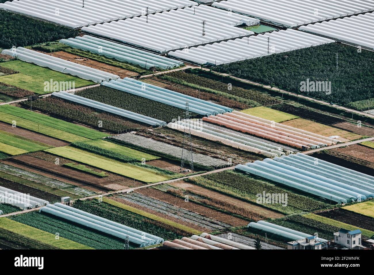 aerial view of agricultural plots of land under cultivation in an ...