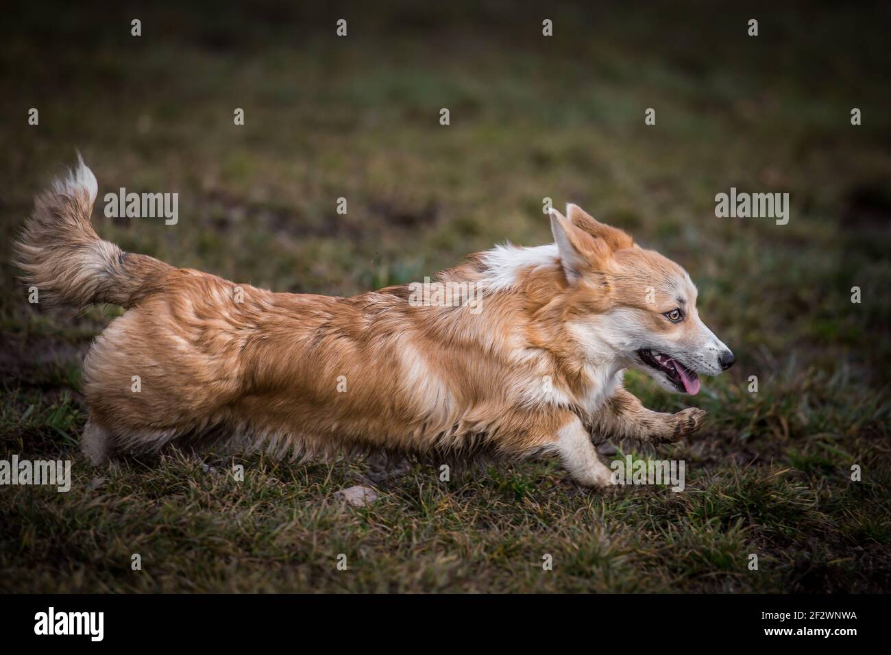 Full of running hi-res stock photography and images - Alamy