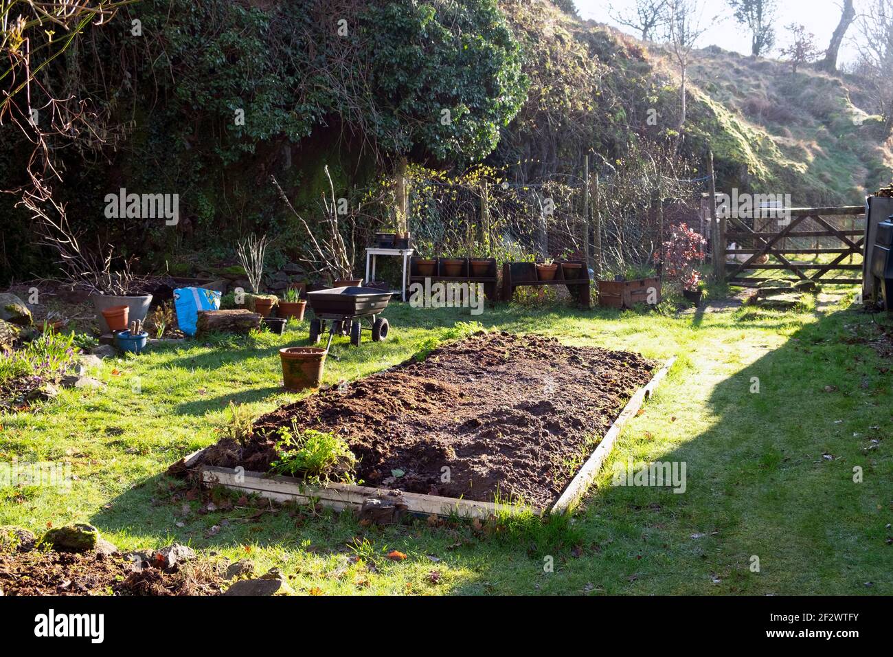 Mulch on raised no dig bed ready for planting in spring in a small back ...