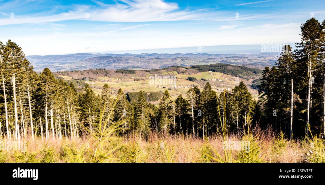 Naephoto hi-res stock photography and images - Alamy