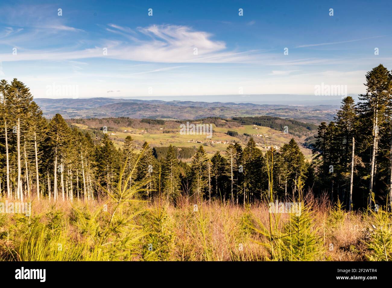 Naephoto hi-res stock photography and images - Alamy