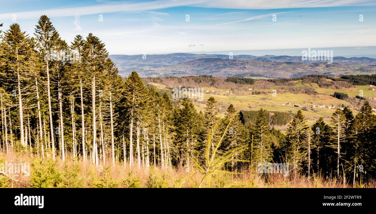 Naephoto hi-res stock photography and images - Alamy