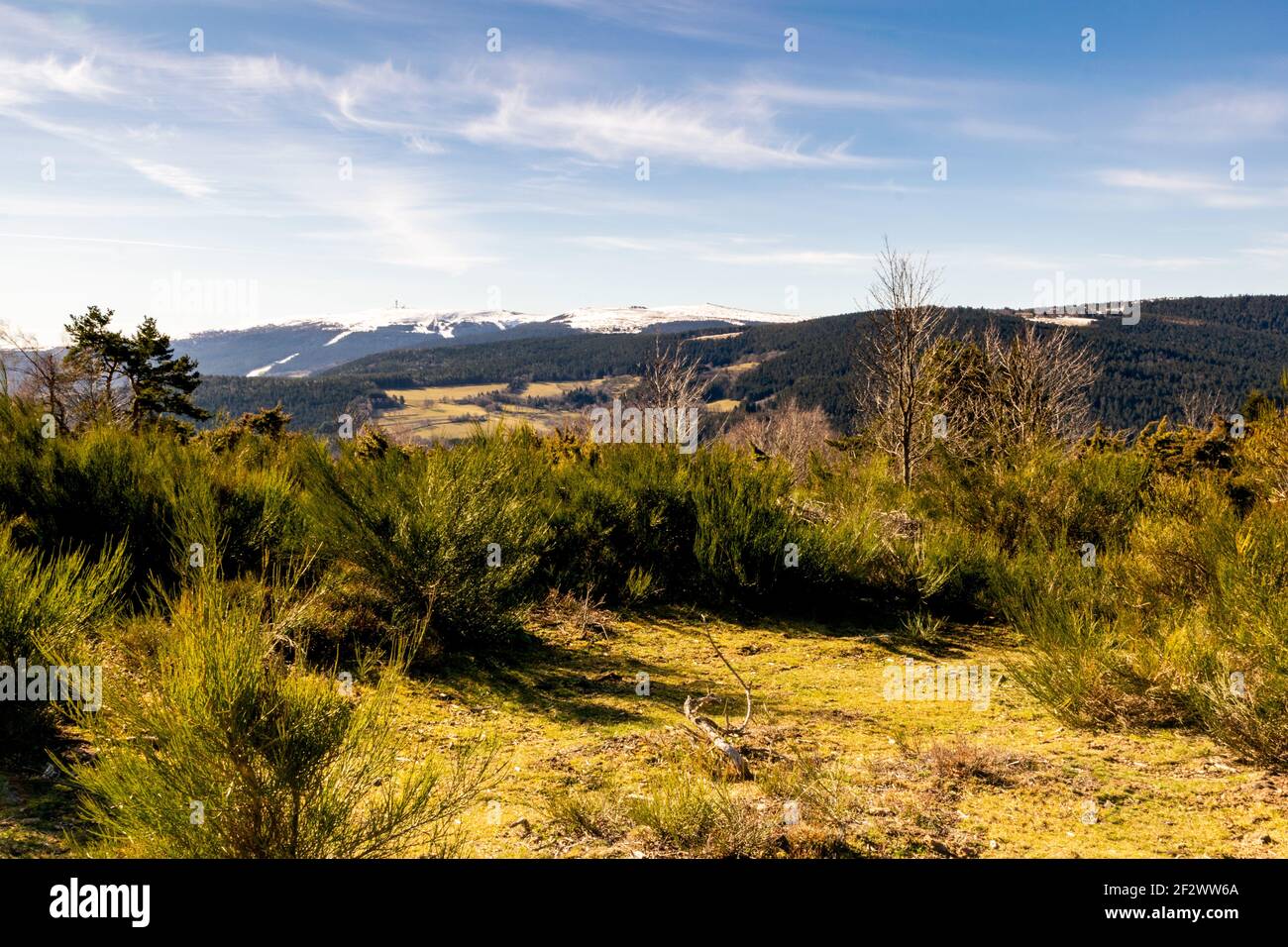 Naephoto hi-res stock photography and images - Alamy