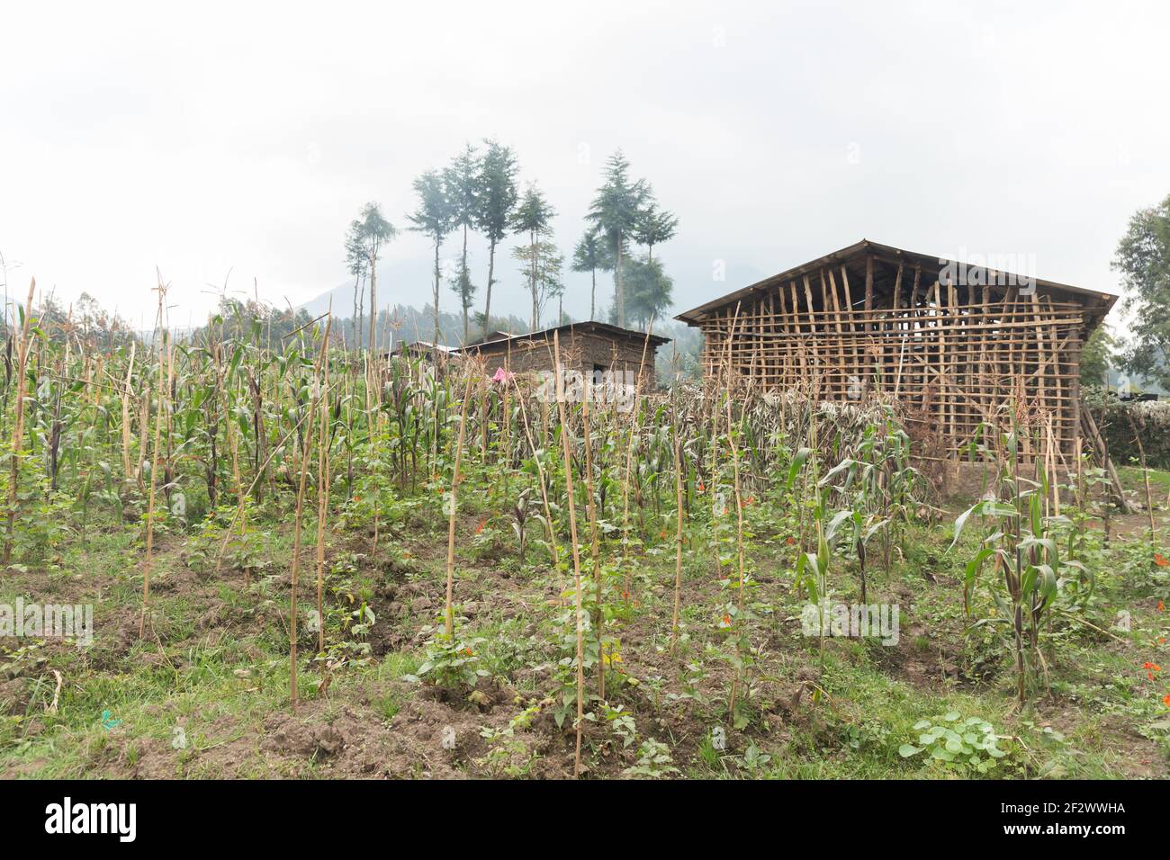 Ruhengeri rwanda hi-res stock photography and images - Alamy