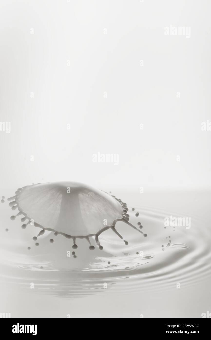 S milk drops hi-res stock photography and images - Alamy