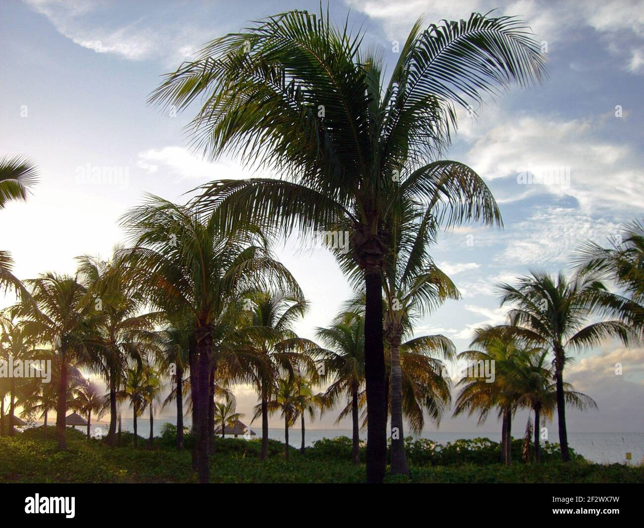Iles turquoises hi-res stock photography and images - Alamy
