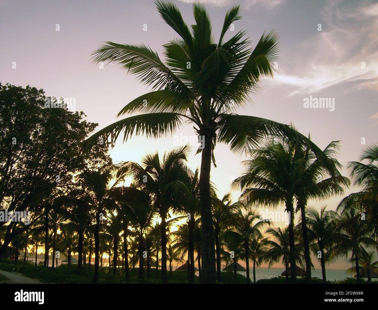 Iles turquoises hi-res stock photography and images - Alamy