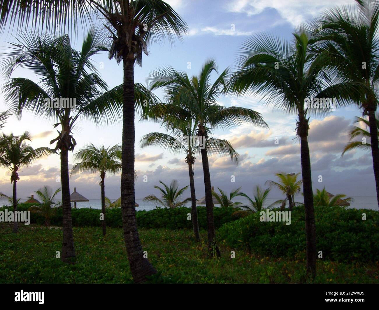 Iles turquoises hi-res stock photography and images - Alamy