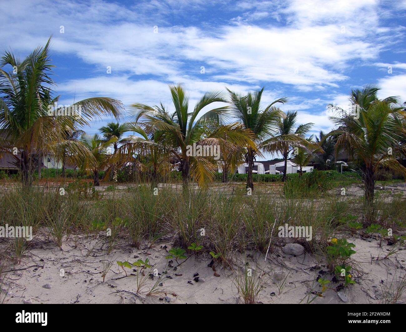 Iles turquoises hi-res stock photography and images - Alamy