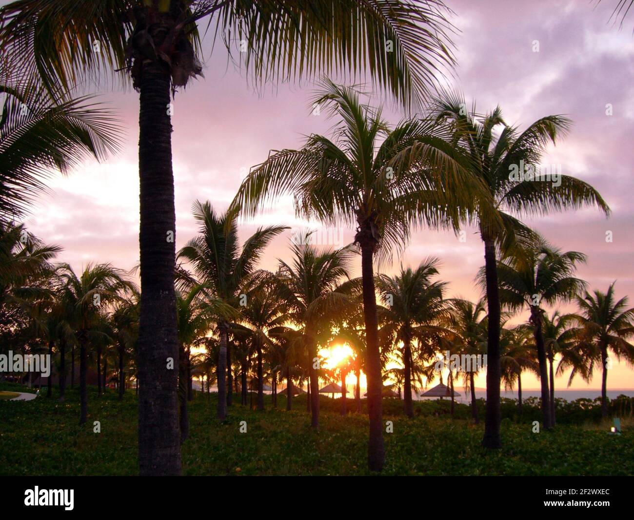 Iles turquoises hi-res stock photography and images - Alamy