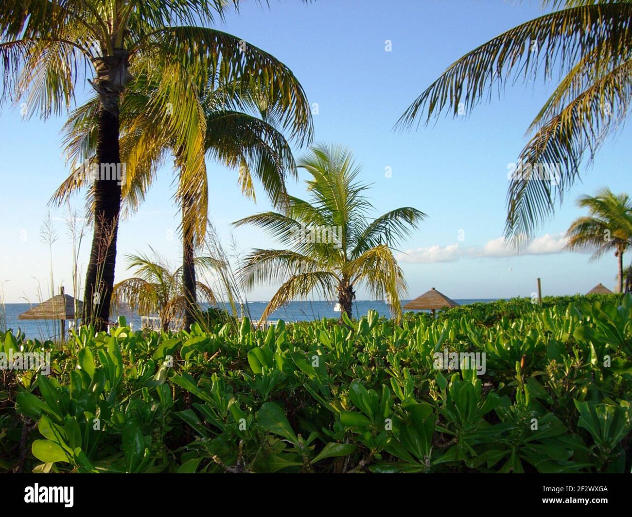 Iles turquoises hi-res stock photography and images - Alamy