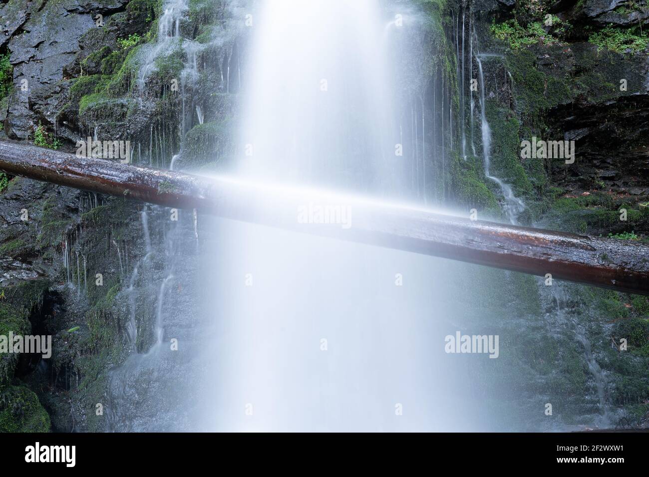 Long exposure of a tree hanging across a waterfall Stock Photo - Alamy