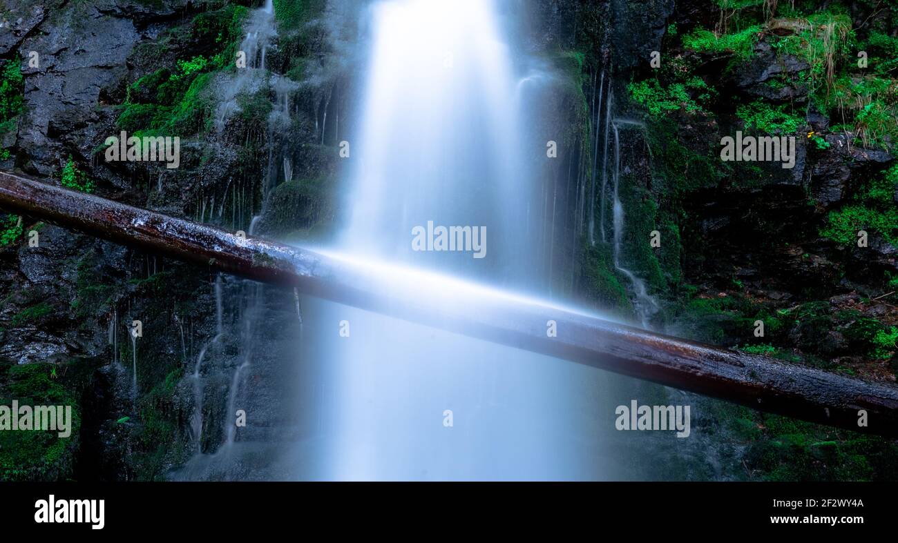 Long exposure of a tree hanging across a waterfall Stock Photo - Alamy