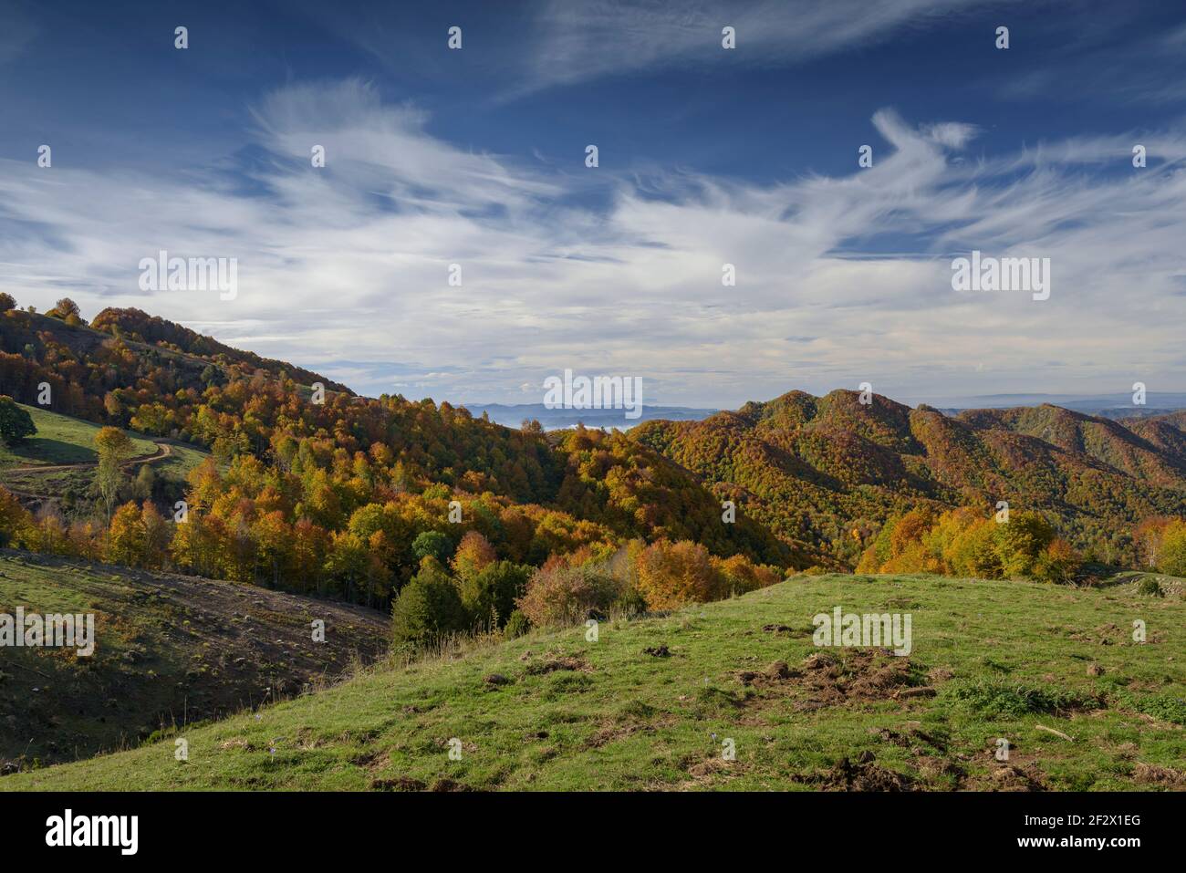 Campo de haya hi-res stock photography and images - Alamy