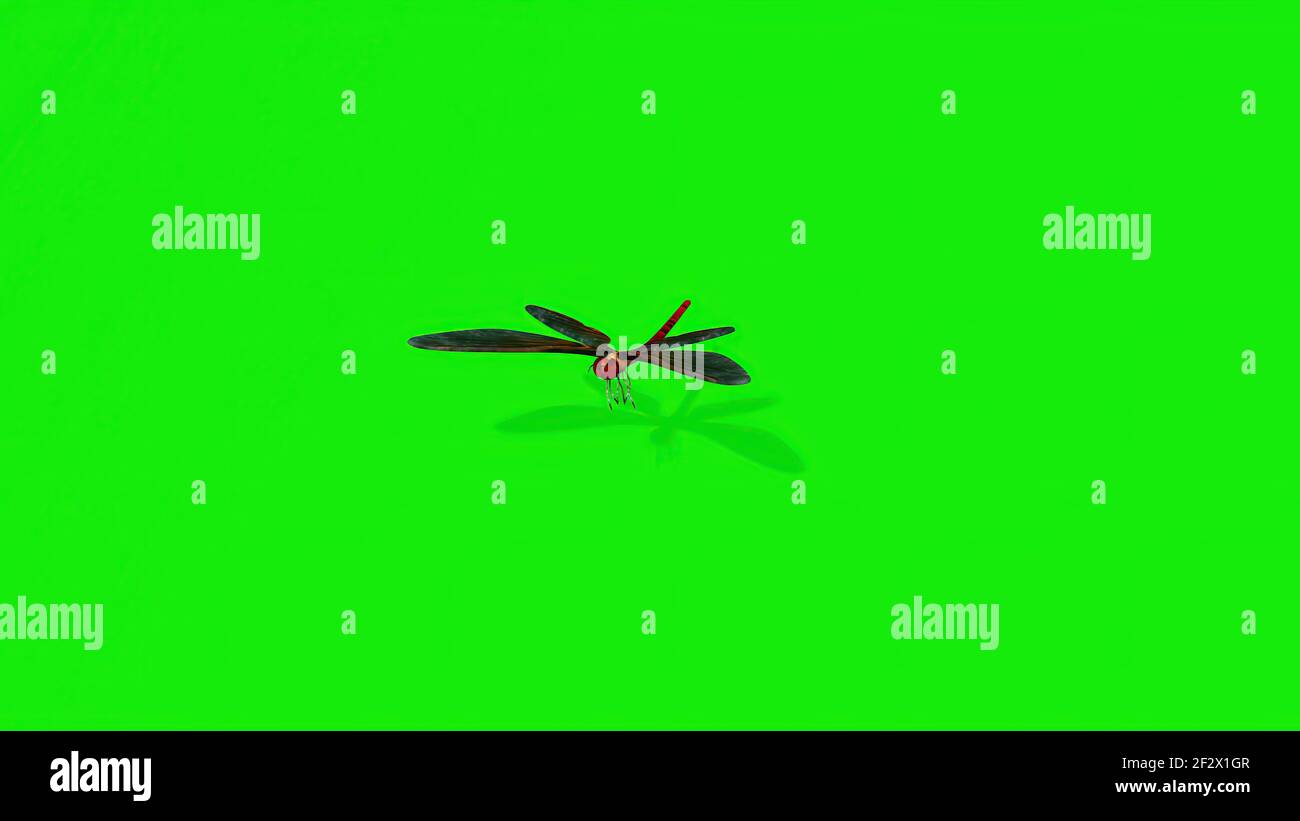 Chroma bug background hi-res stock photography and images - Alamy