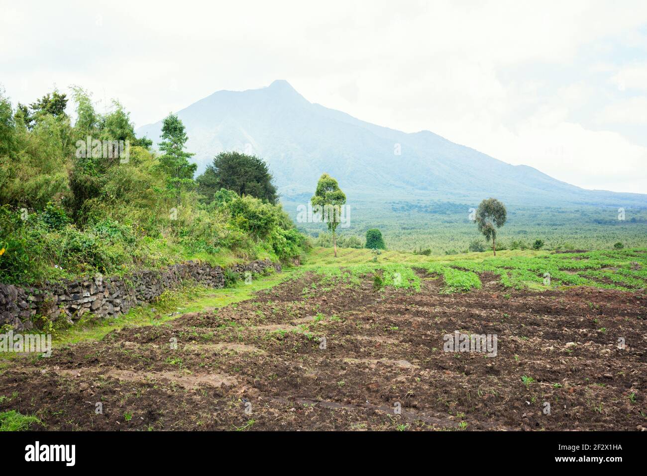 Rwanda, Ruhengeri - Farmland in Rwandan Countryside Stock Photo - Alamy