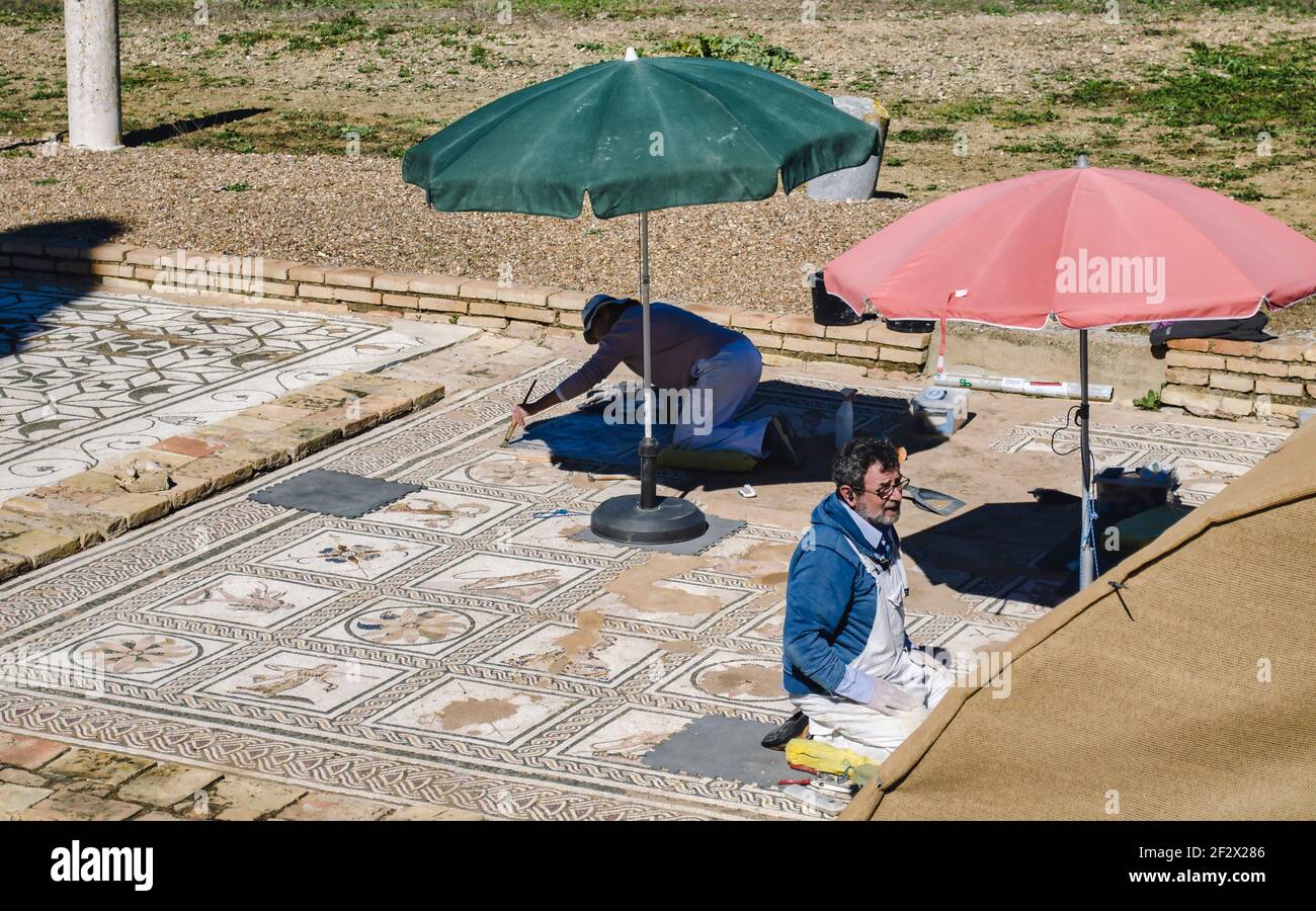 Archaeologists cleaning Roman mosaics Stock Photo - Alamy
