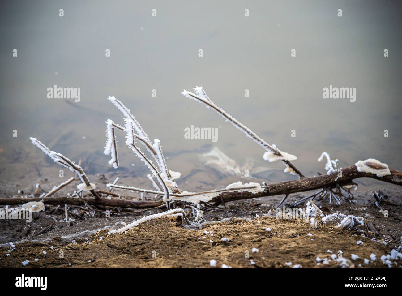 Winter landscape with amazing rime on the tree Stock Photo - Alamy