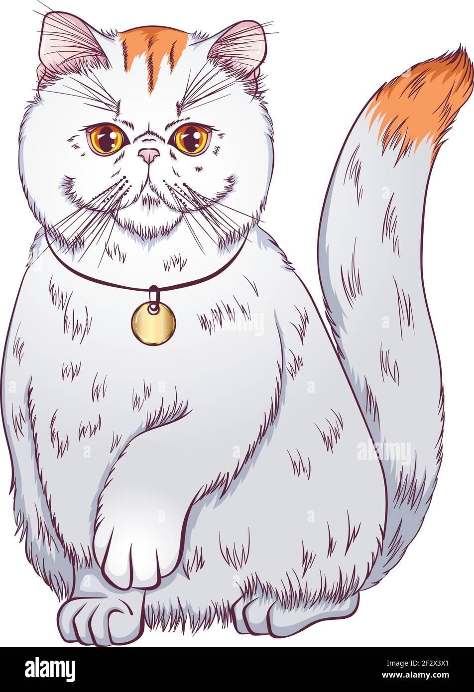 Exotic cat Cut Out Stock Images & Pictures - Alamy