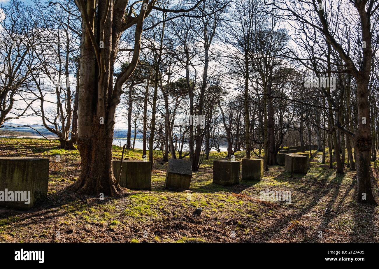 Line of anti-tank world war II coastal defence concrete blocks in ...