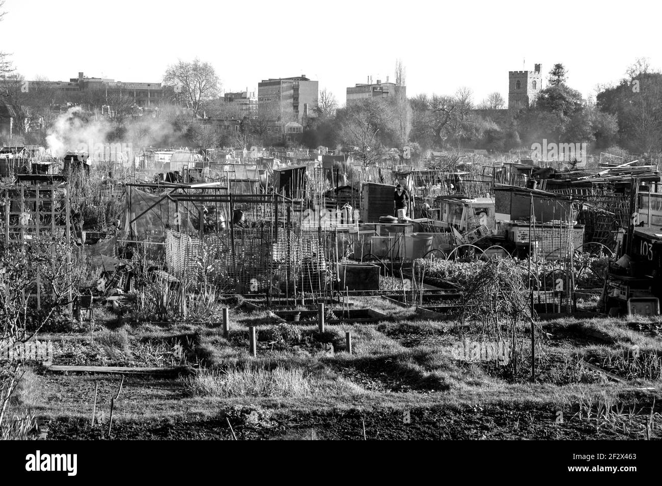 public allotment gardens, London, UK Stock Photo - Alamy