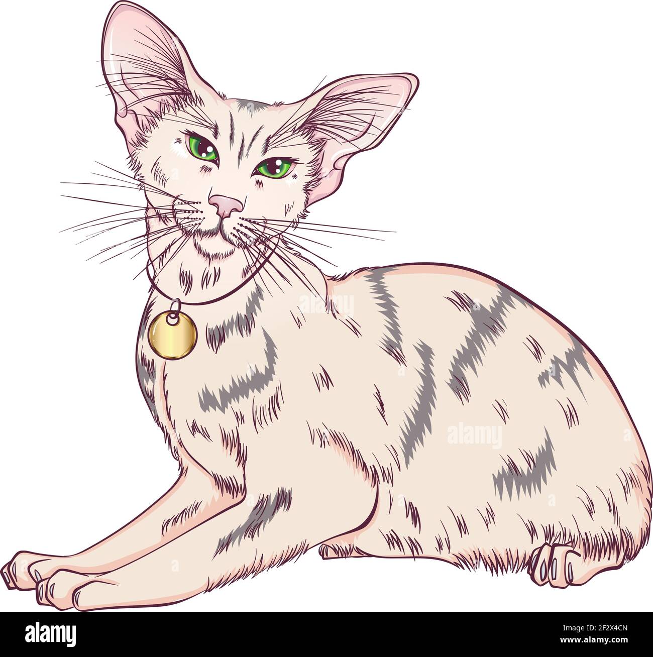 Fluffy cat sitting isolated Stock Vector Images - Alamy