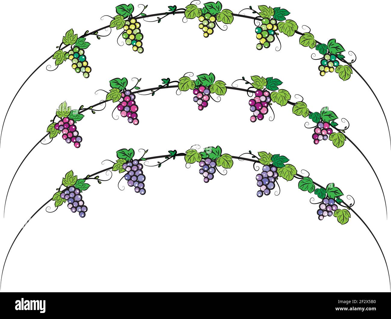 Grape frame background design Stock Vector Image & Art - Alamy