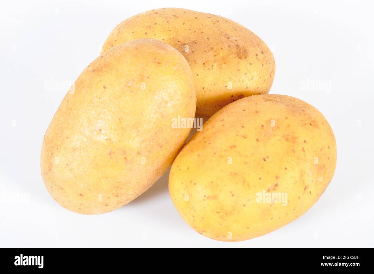 Fresh organic yellow raw potato vegetable, carbohydrate and starch ...