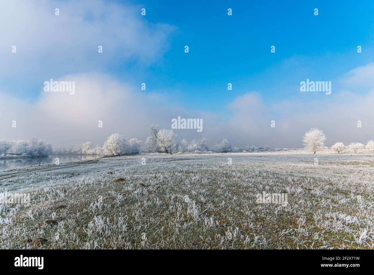 Winter landscape with amazing rime on the tree Stock Photo - Alamy
