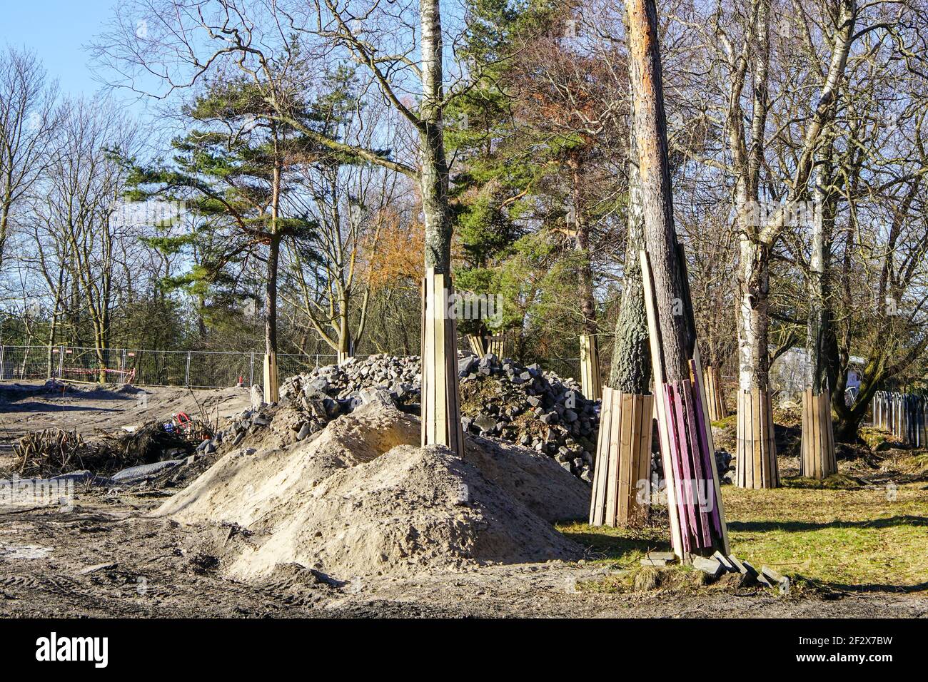 Tree trunks on a construction site covered with wooden boards to ...